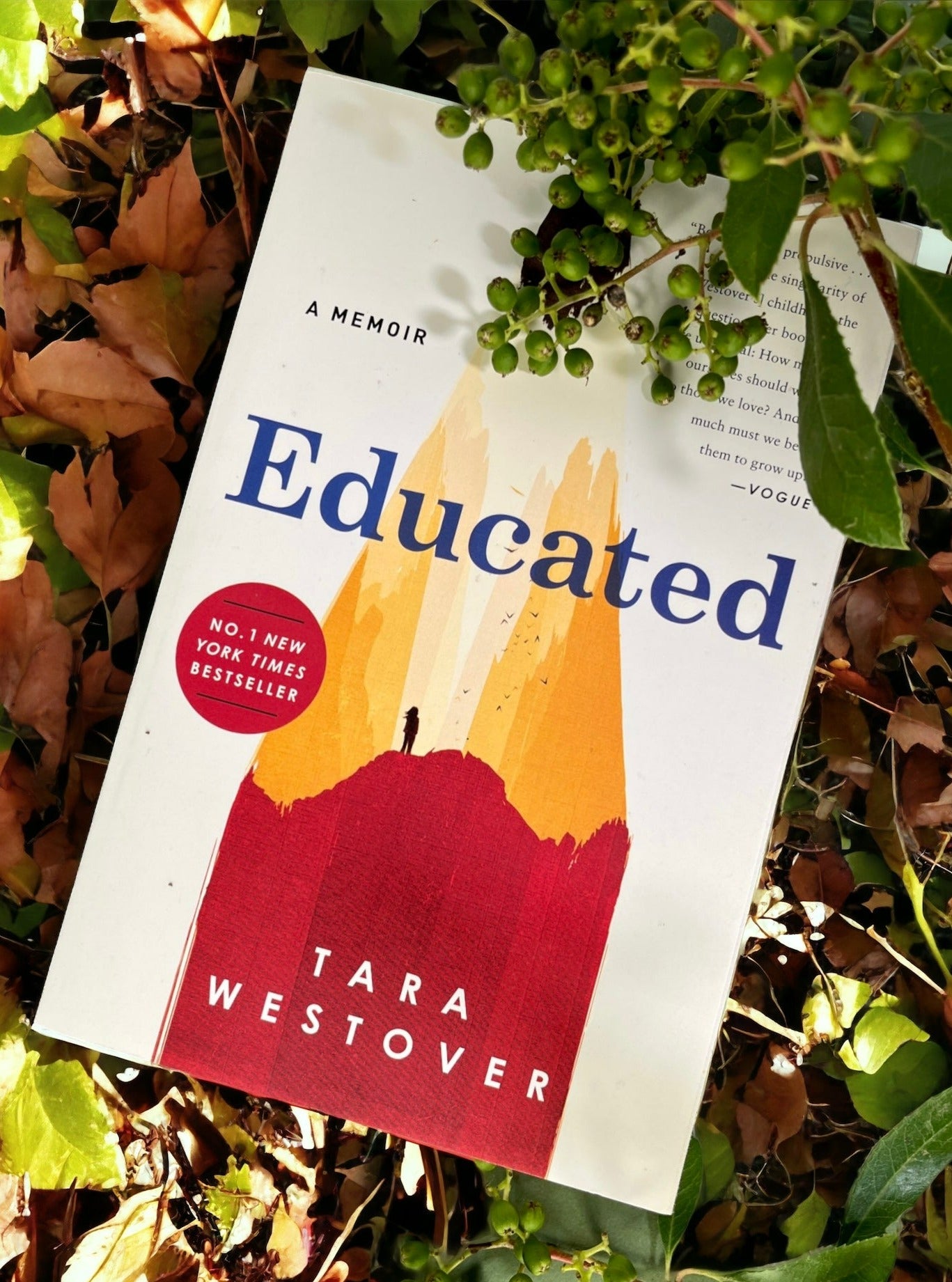 Educated Tara Westover Review Of Educated By Tara Westover Jordan